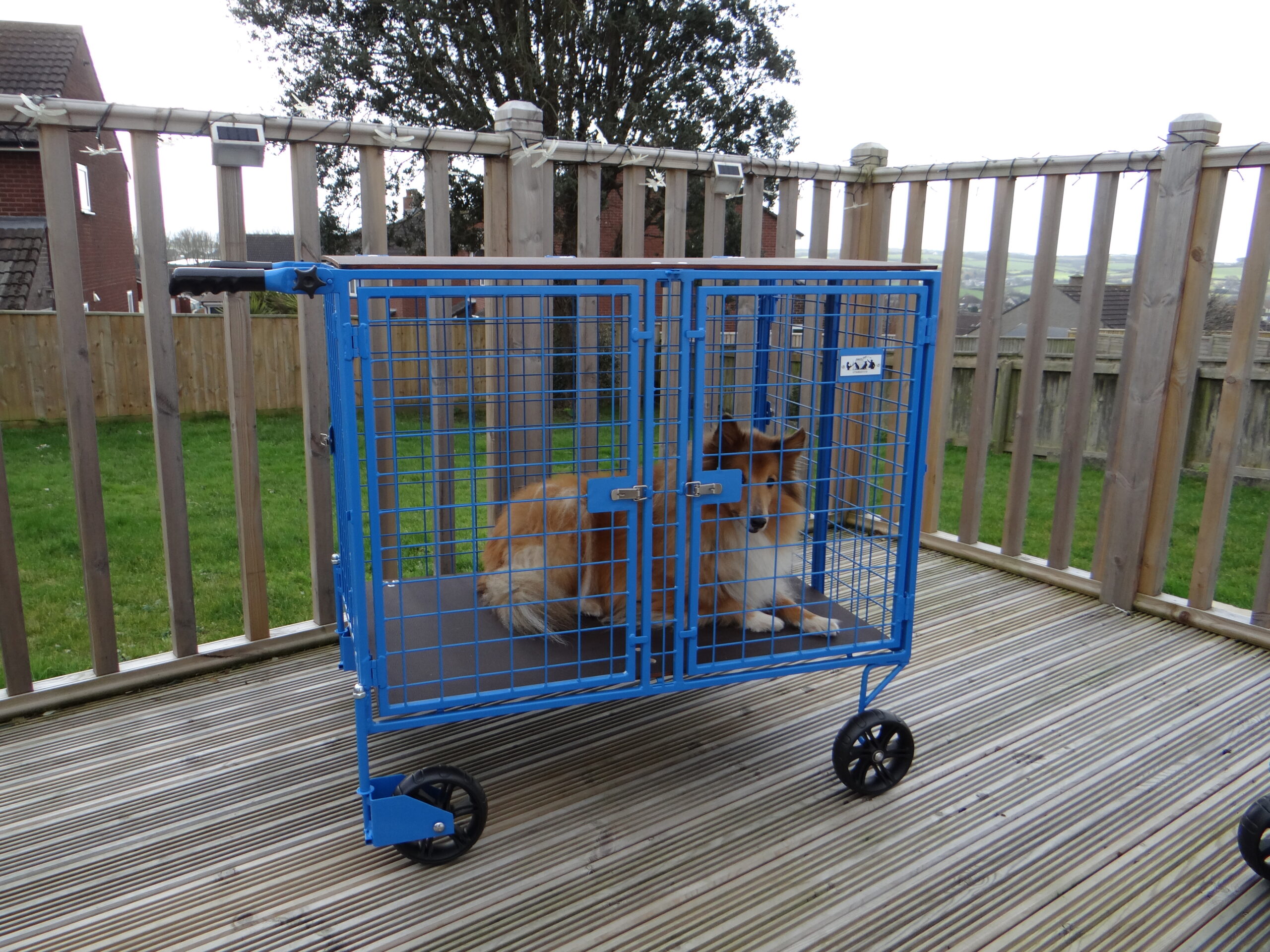 Why Choose Scott K9 Cages | The British Craftsmanship Difference