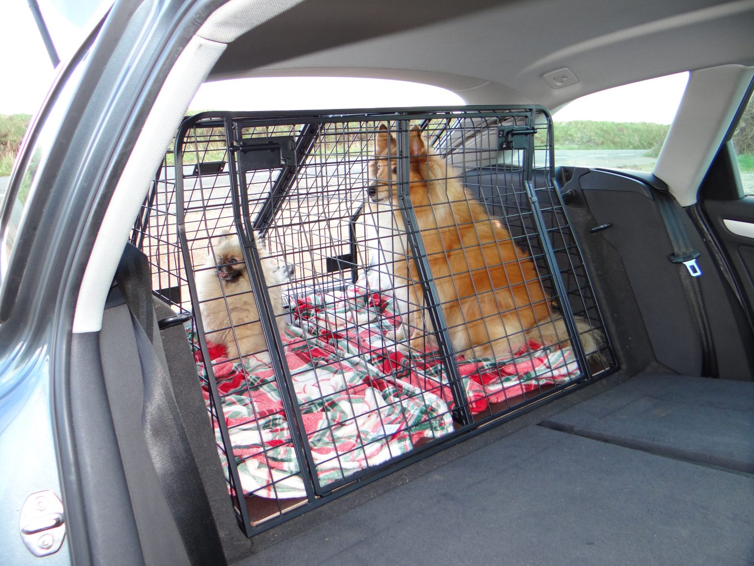 Bespoke British-Crafted Pet Cages | Scott K9 Cages Cornwall
