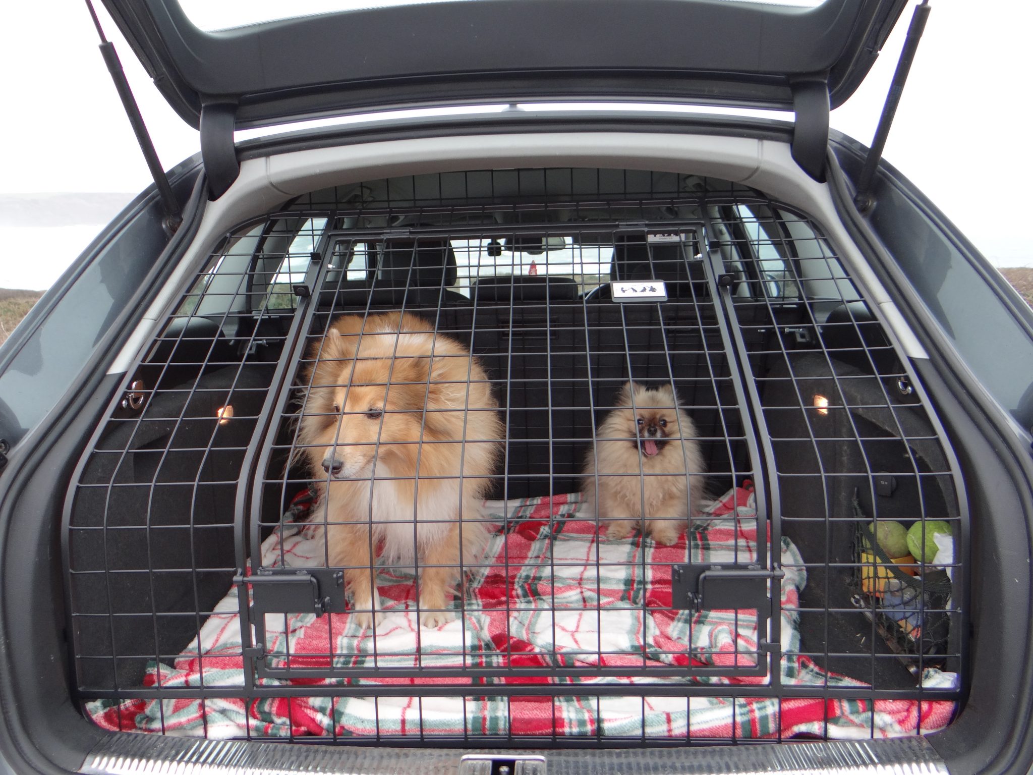 Bespoke British-Crafted Pet Cages | Scott K9 Cages Cornwall